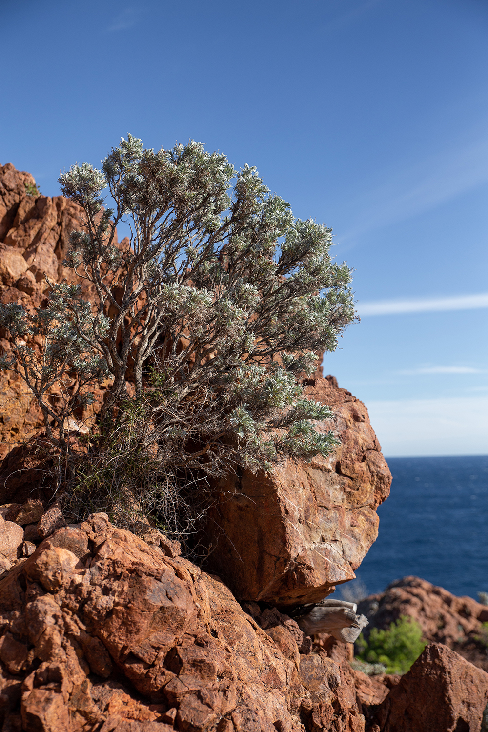 Cap Dramont - Paperboat