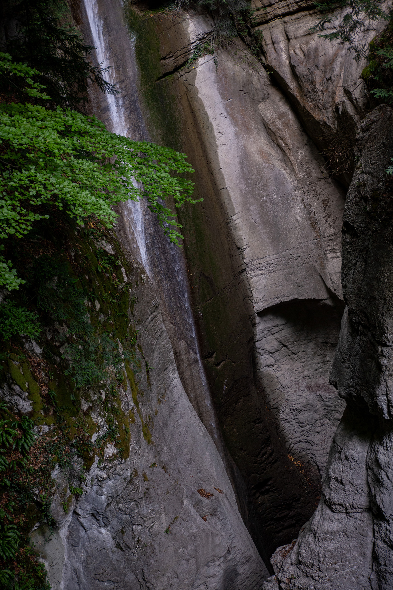 Cascade d’Angon - Paperboat